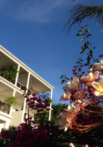 Manta Raya Hotel – Just another WordPress site